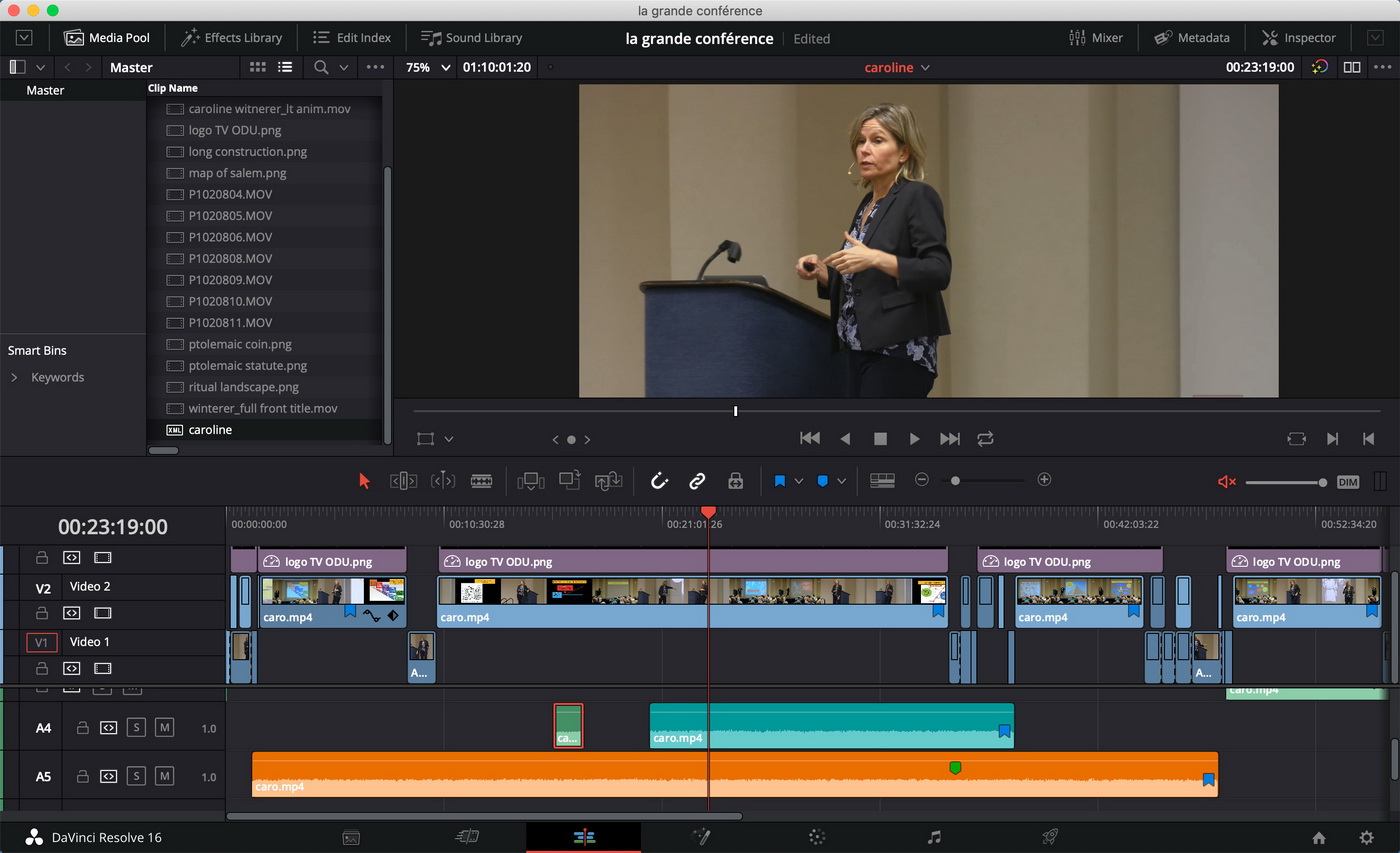 Davinci Resolve Timeline Template